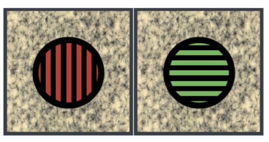 Rivalry Network | Sean's Homepage